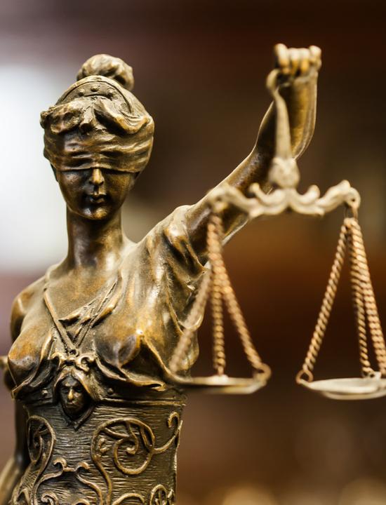 Bürgerrechte stärken | FDP-Bundestagsfraktion